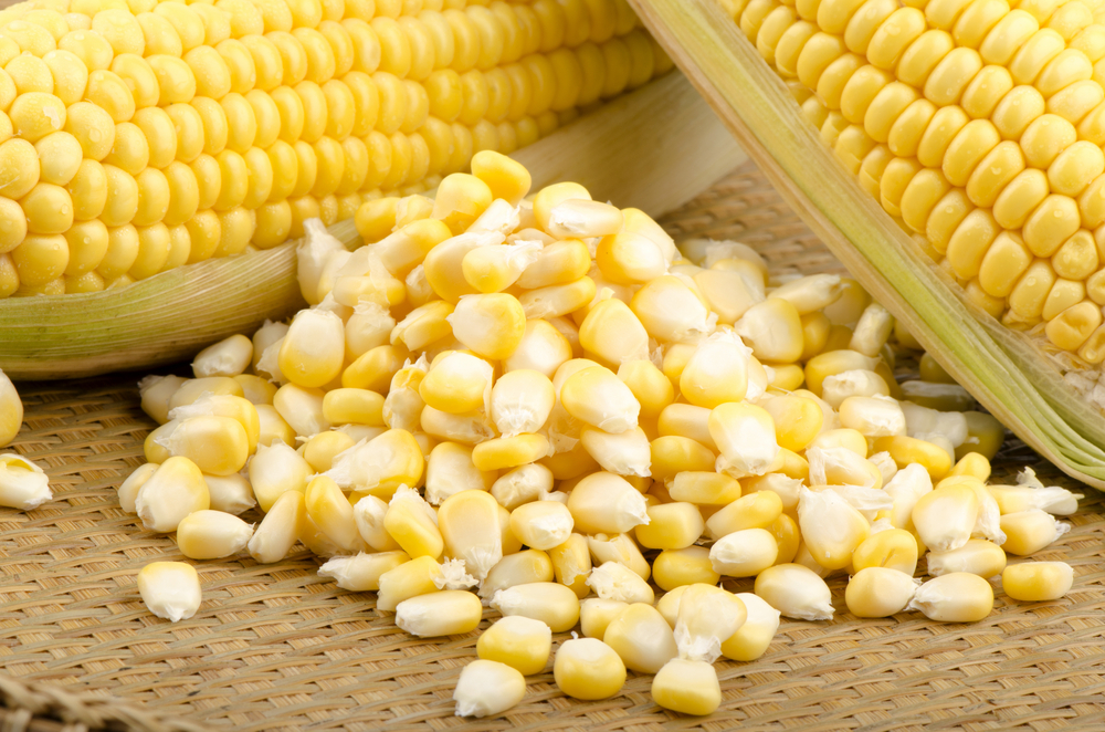 maize corn – SMZ INDUSTRIES PVT LIMITED